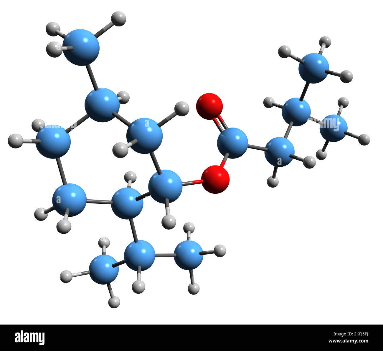 3D image of Menthyl butyrate skeletal formula - molecular chemical ...