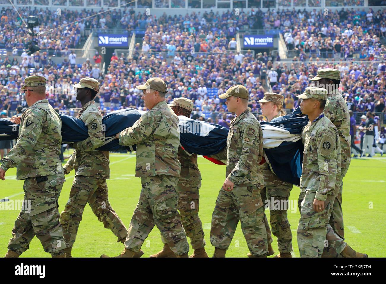 Baltimore ravens hi-res stock photography and images - Alamy