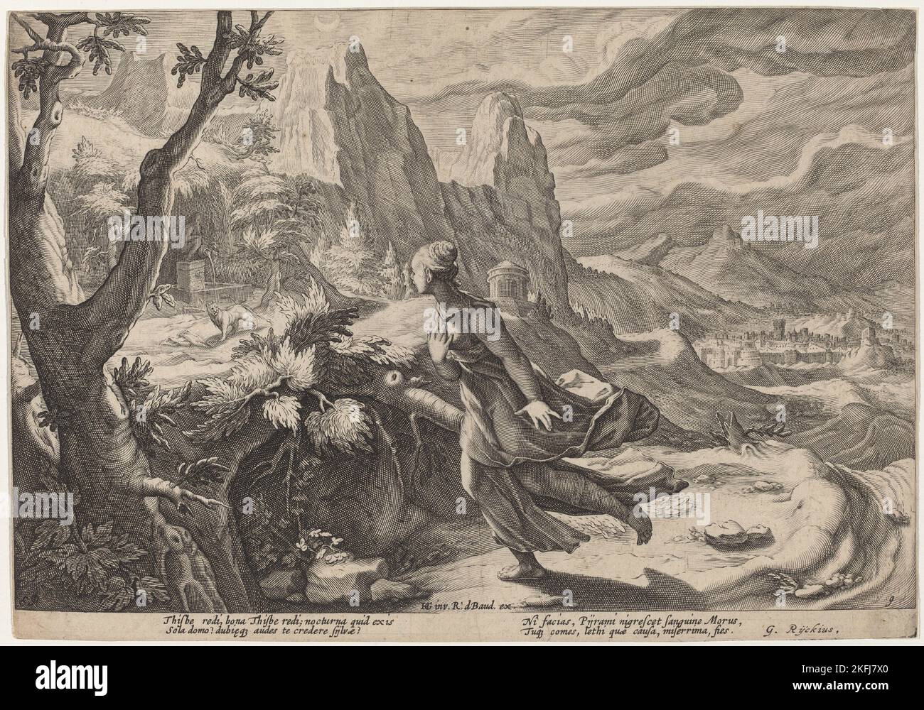 Female lion engraving hi-res stock photography and images - Alamy