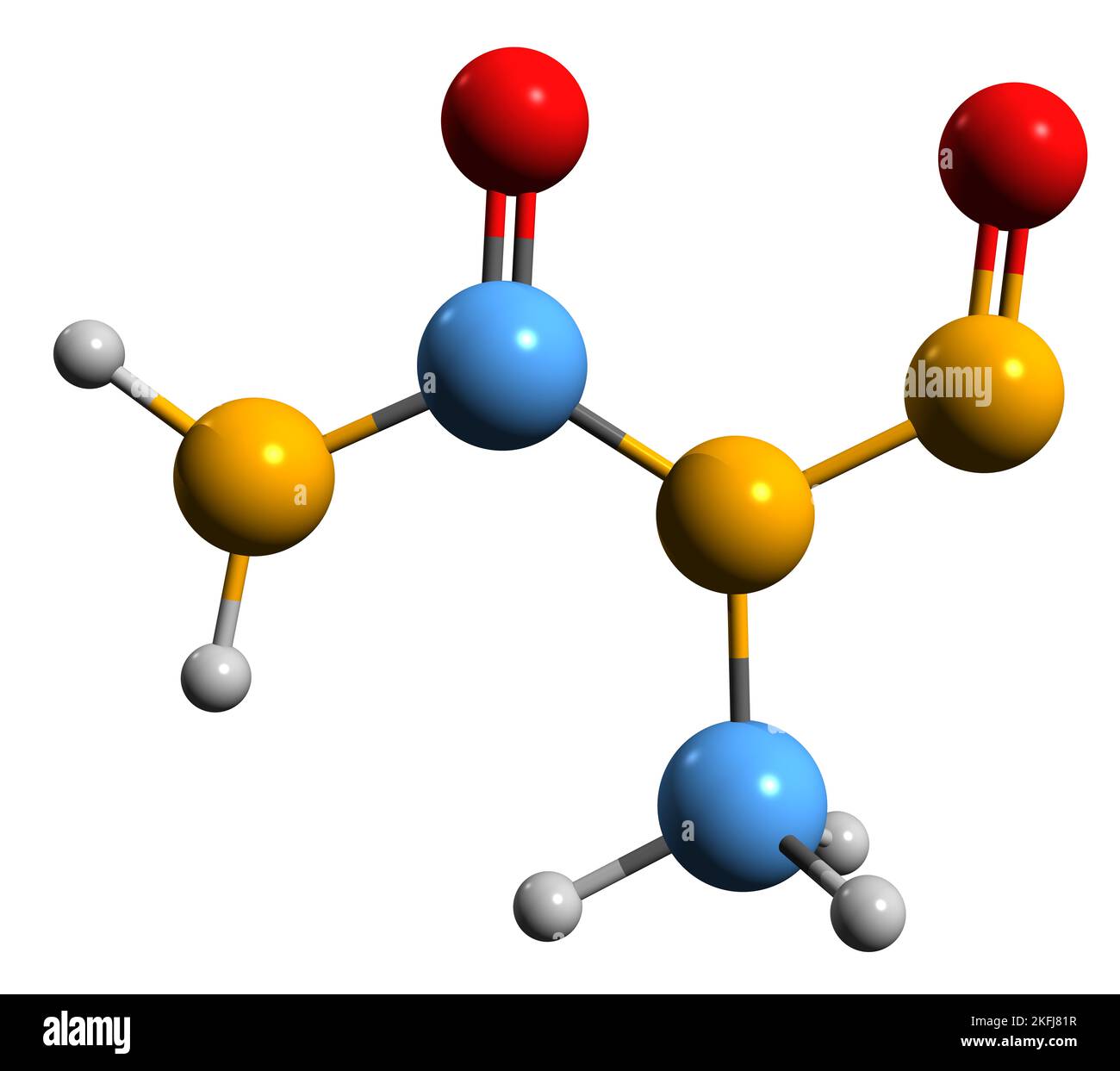 Organogenesis Cut Out Stock Images & Pictures - Alamy