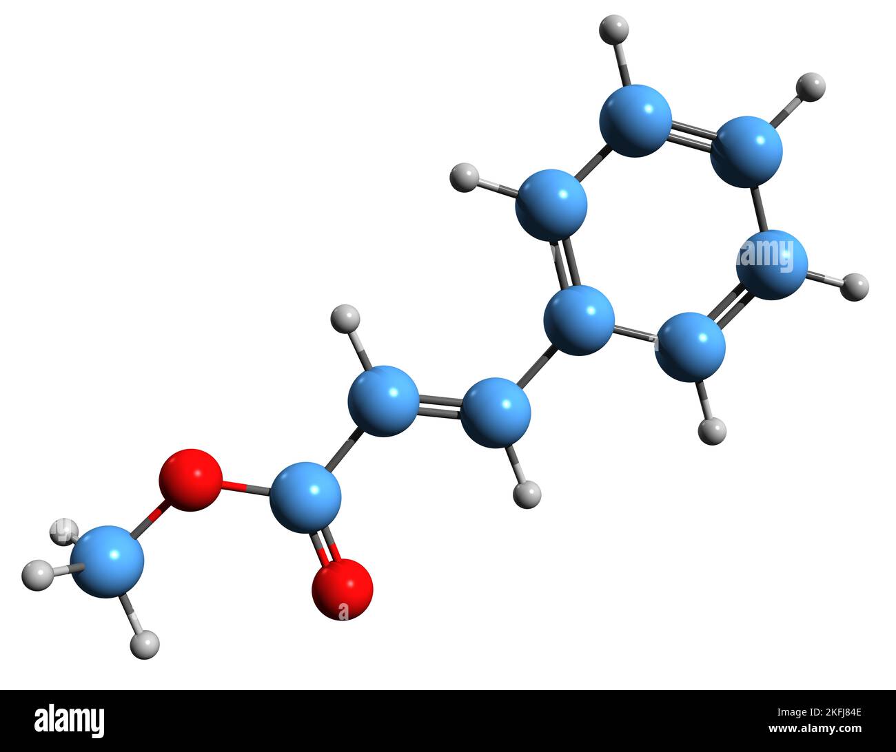 Aglae caerulea hi-res stock photography and images - Alamy