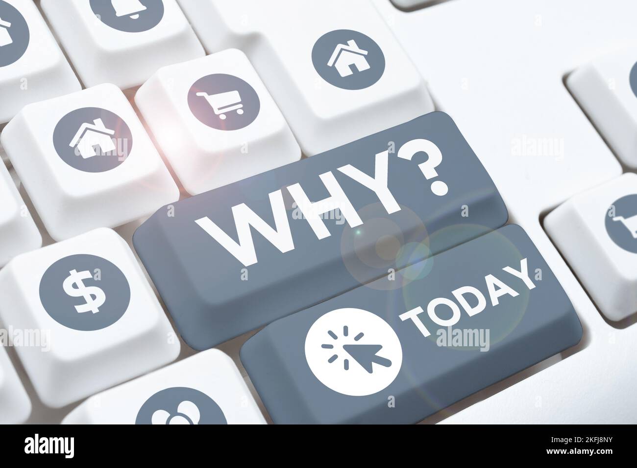 Text showing inspiration Why, Business overview Asking for what reason ...