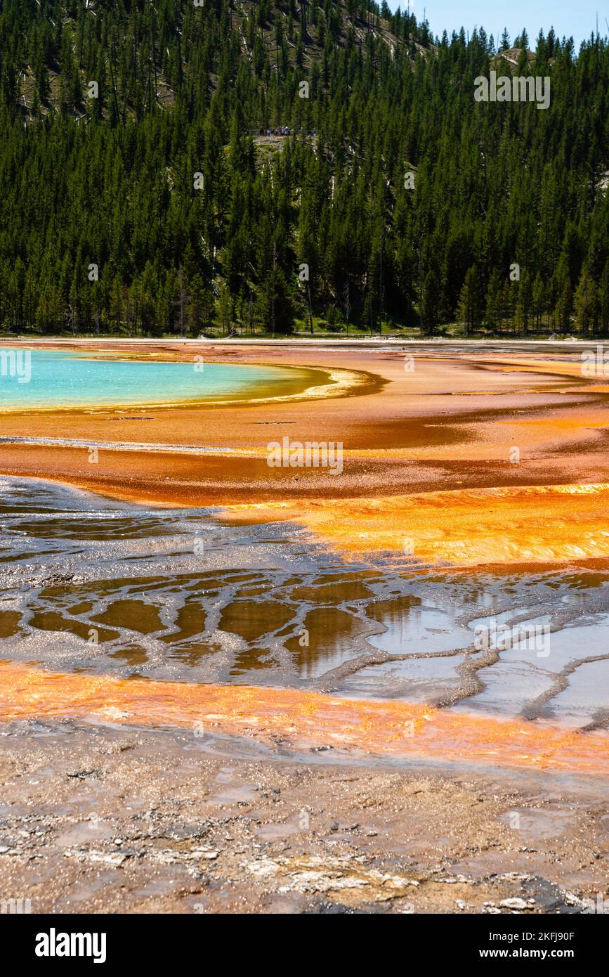 A photograph of Grand Prismatic Spring from MIdway Geyser Basin ...