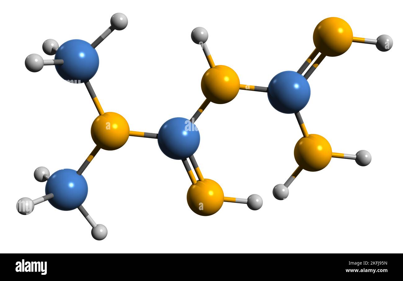 3D image of Metformin skeletal formula - molecular chemical structure ...