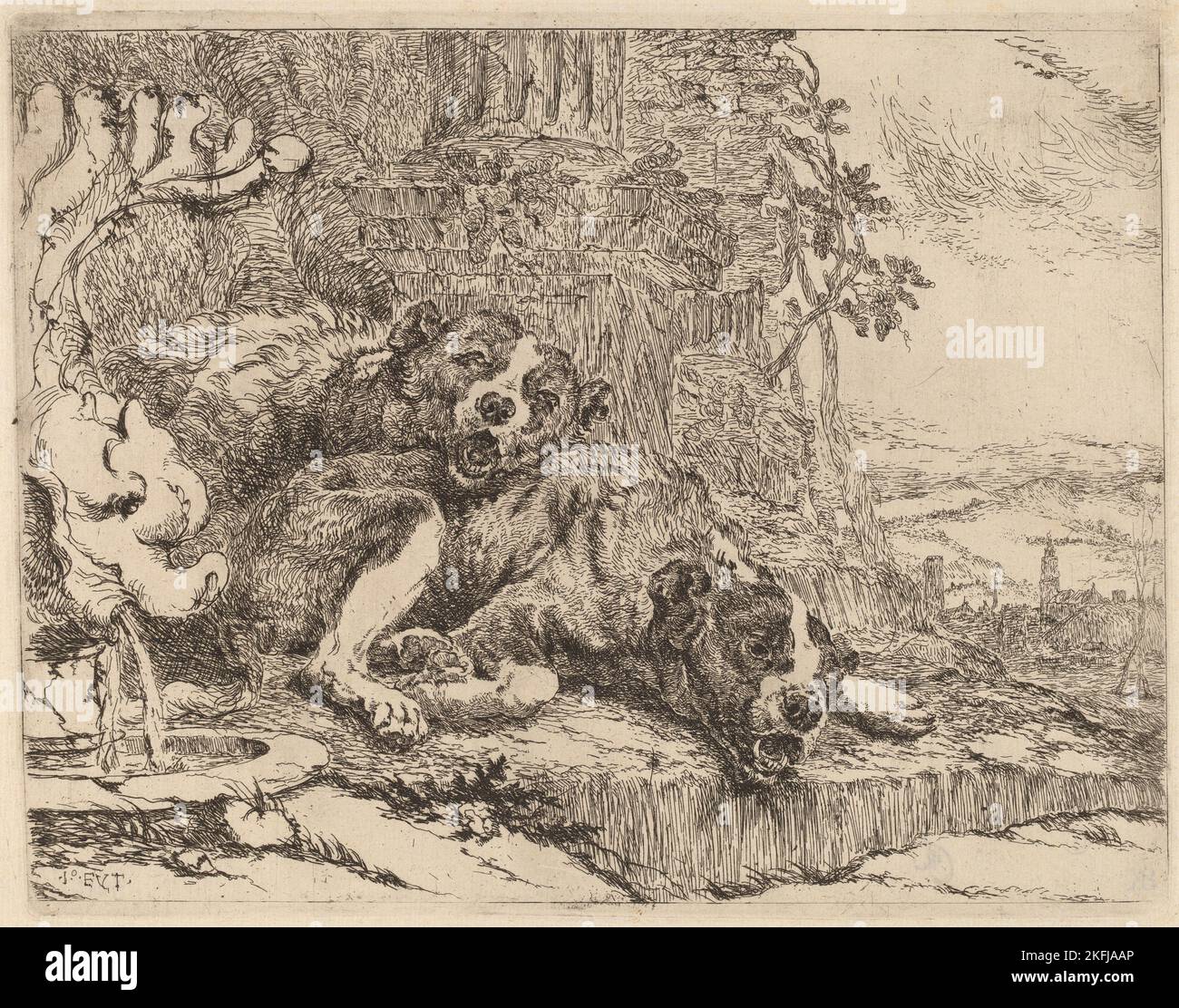 Two mastiffs hi-res stock photography and images - Alamy