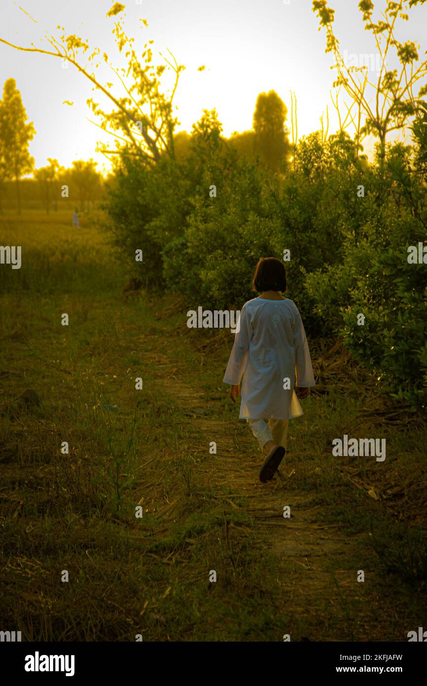 A vertical back view of a female walking in a sunny field Stock Photo ...