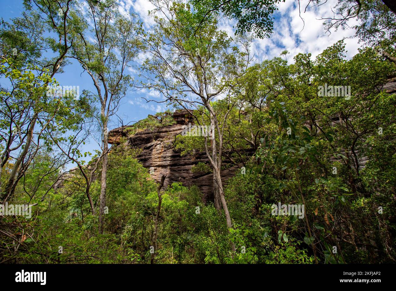 The towering cliff tops of Burrungkui (Nourlangie), an outlying ...