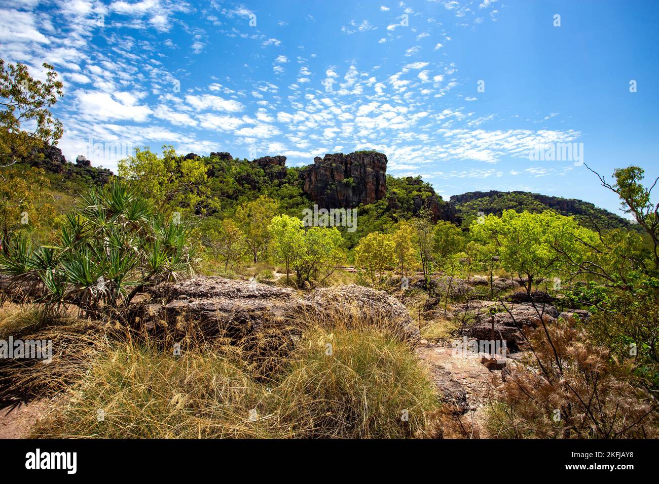 Panoramic view of the towering cliff tops of Burrungkui (Nourlangie ...