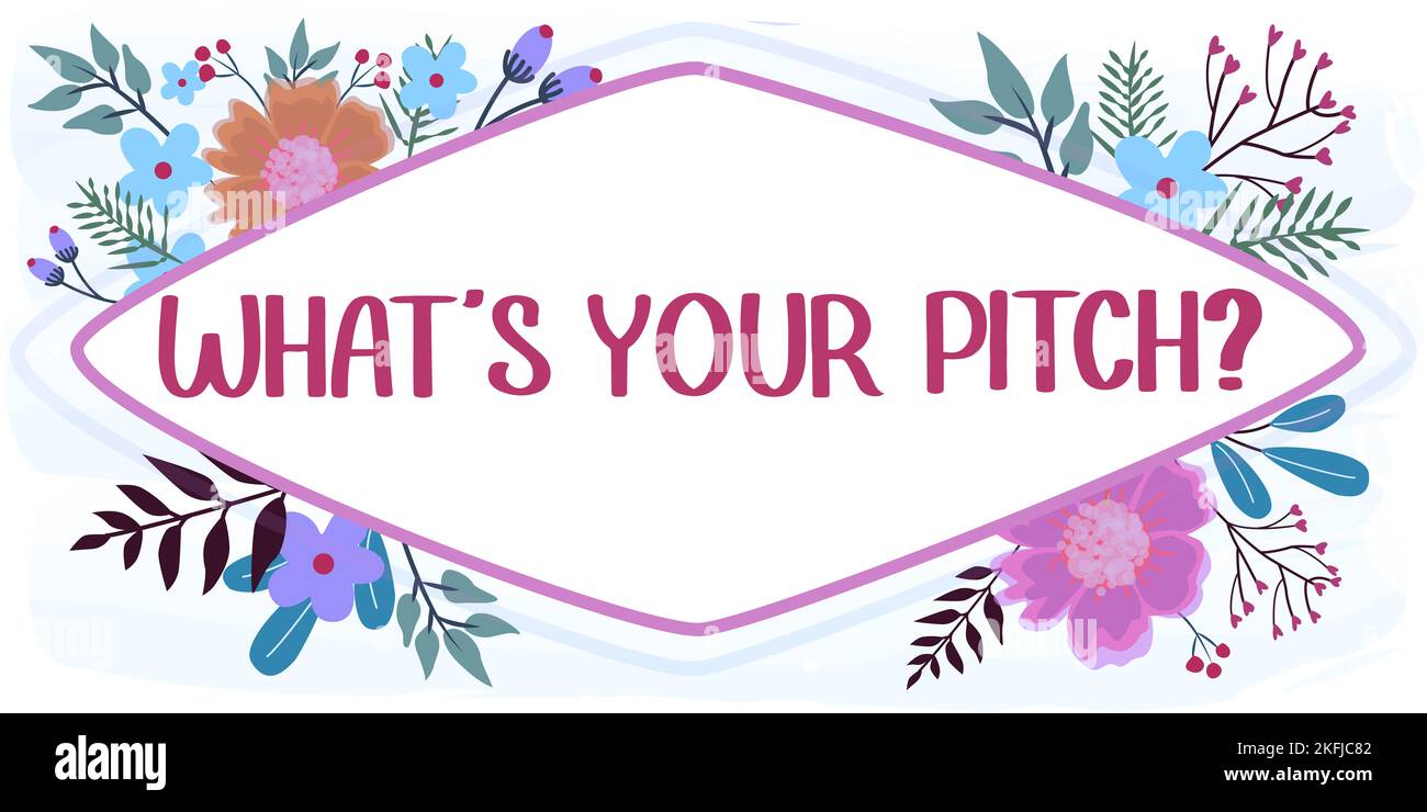 Text sign showing What's Your Pitch. Concept meaning make a determined ...