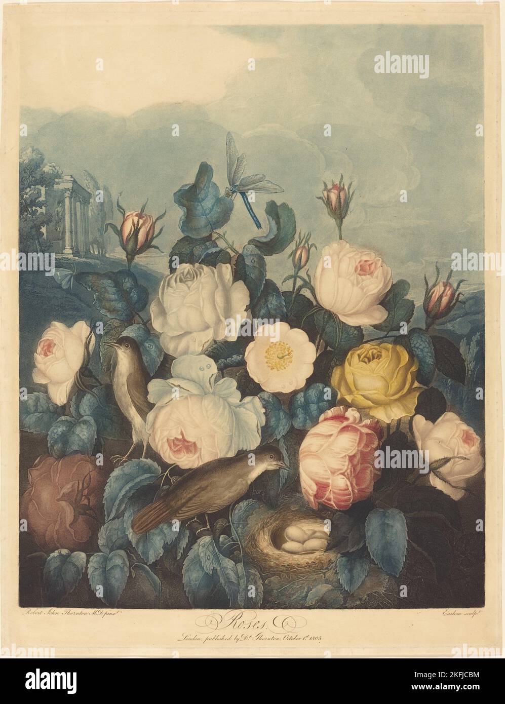 Animal drawing 18th century britain hi-res stock photography and images ...