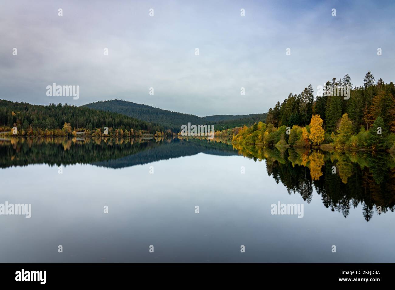 Tree line on the shore of a lake with reflections in the water Stock ...