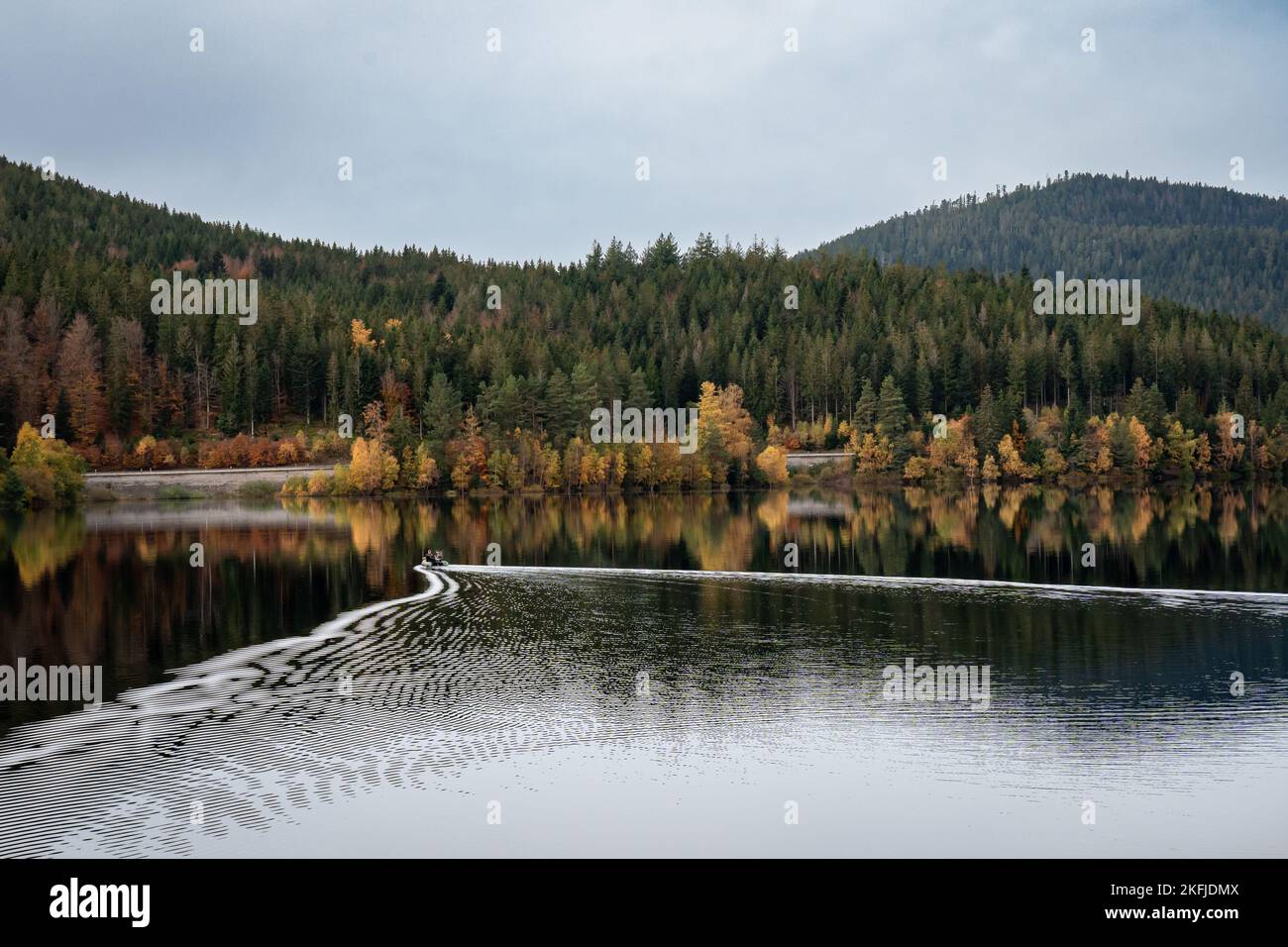 Trees on the shore of a lake with reflections and a boat with trailing ...