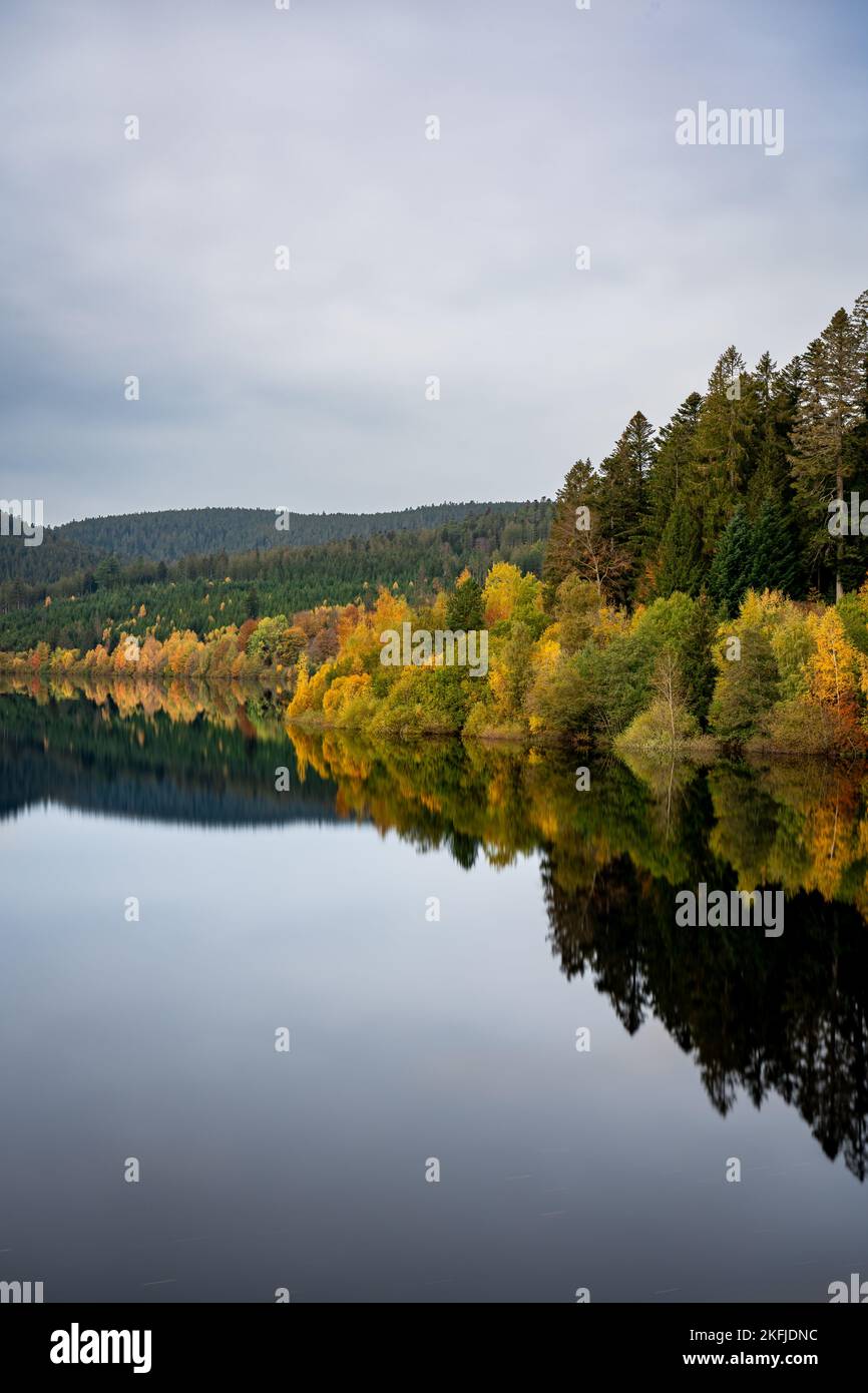 Tree line on the shore of a lake with reflections in the water Stock ...