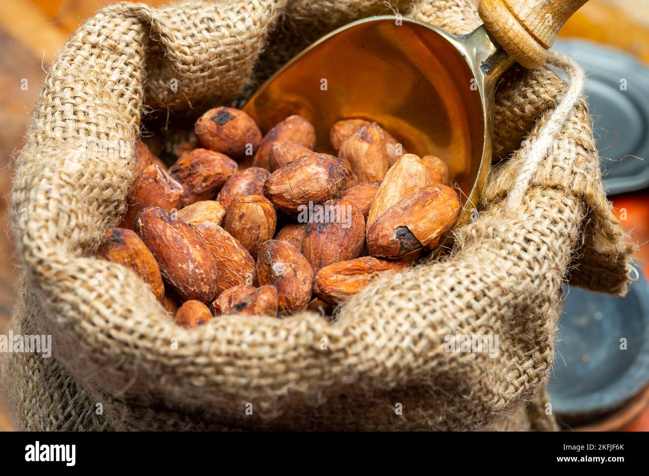 Cocoa or cacao beans, used in hot chocolate drink, chocolate, butter ...
