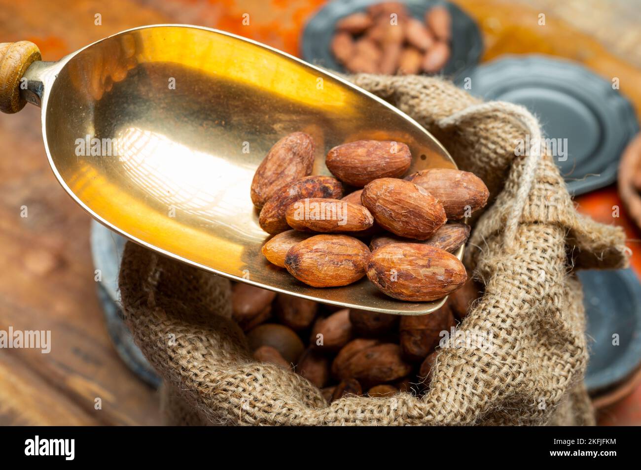 Cocoa or cacao beans, used in hot chocolate drink, chocolate, butter ...