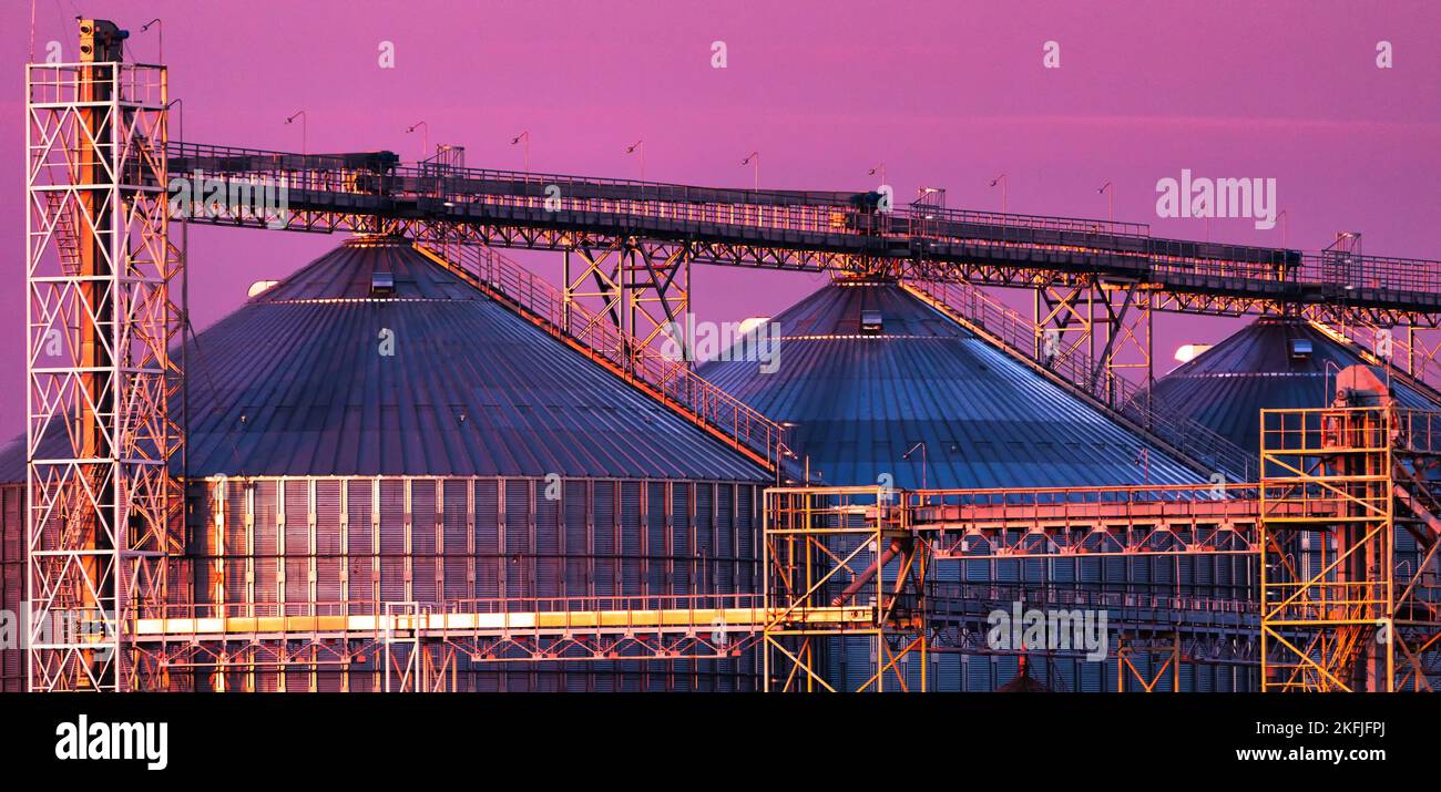 Grain elevator. Modern agro-industrial complex. For grain storage and ...