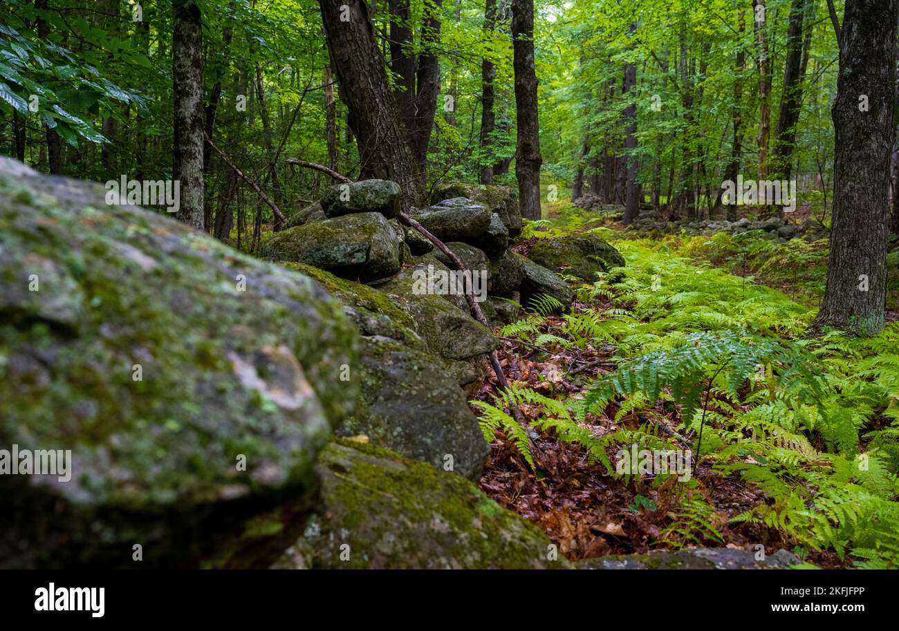 NEW BOSTON SPACE FORCE STATION, N.H. – Pictured are remnants of New ...