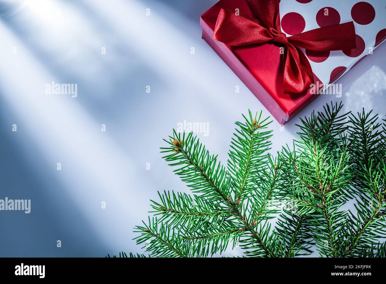 Pine tree branch gift box on white background Stock Photo - Alamy