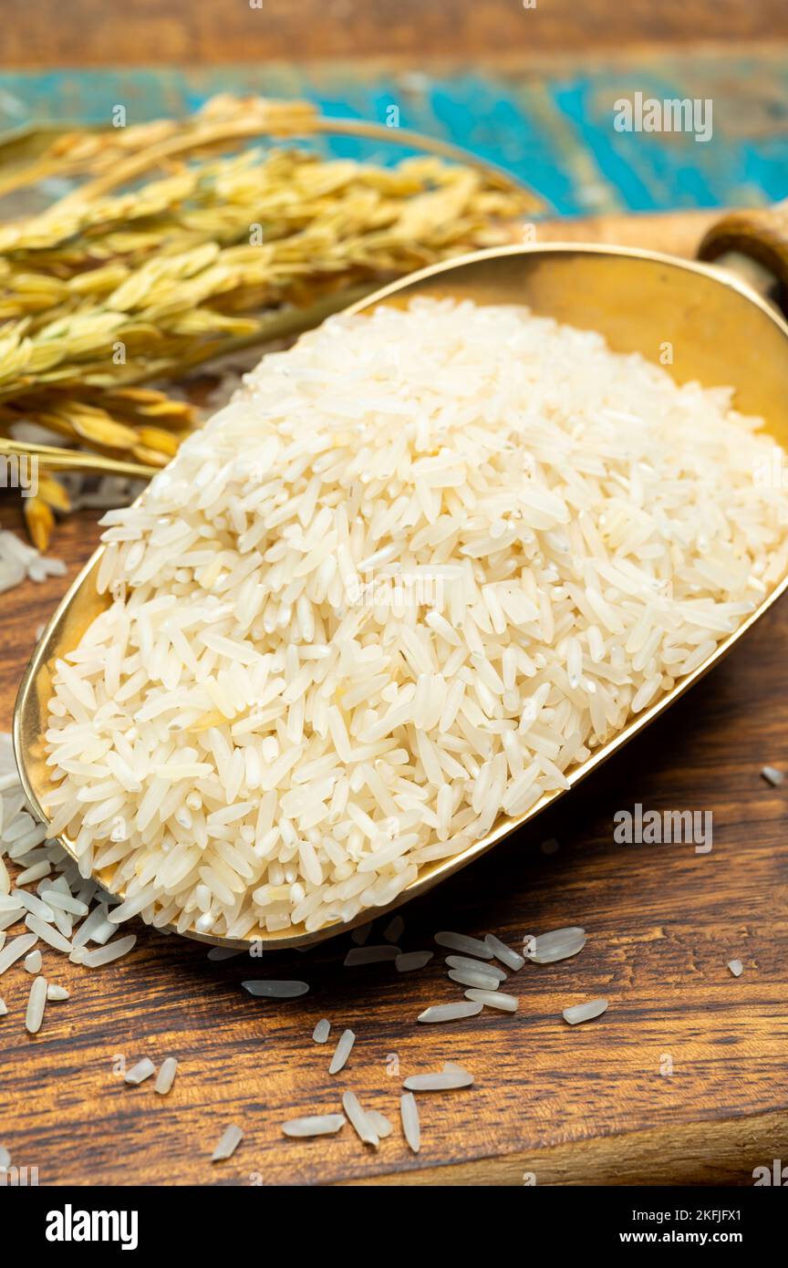 Organic white uncooked rice and dried Indian basmati rice plant ...