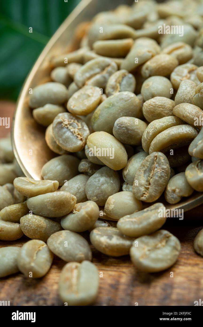 Green coffee beans from South America coffee producing region, from ...