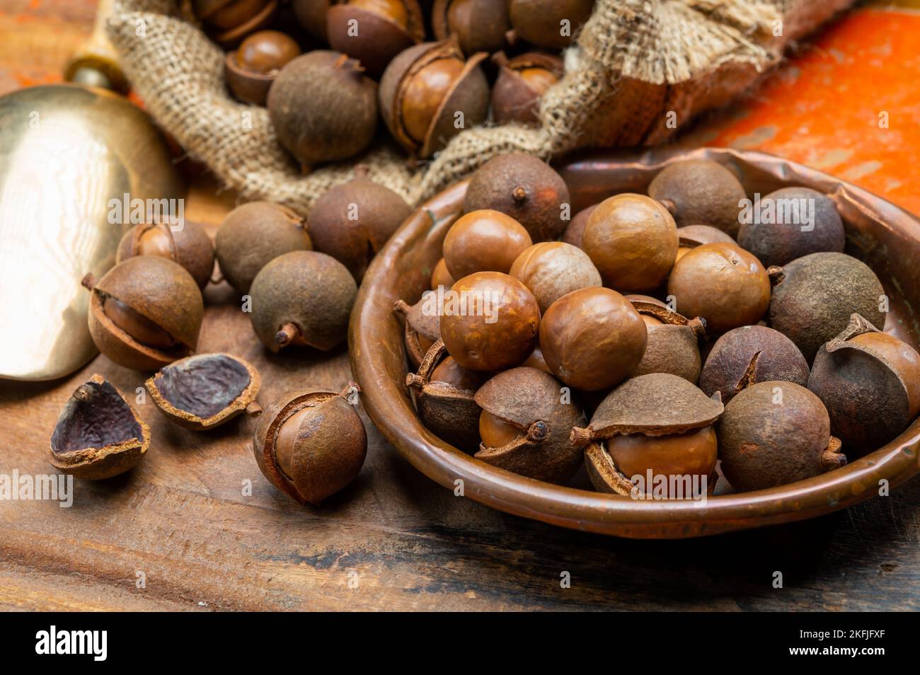New harvest of ripe fresh Australian macadamia nuts in shell with ...