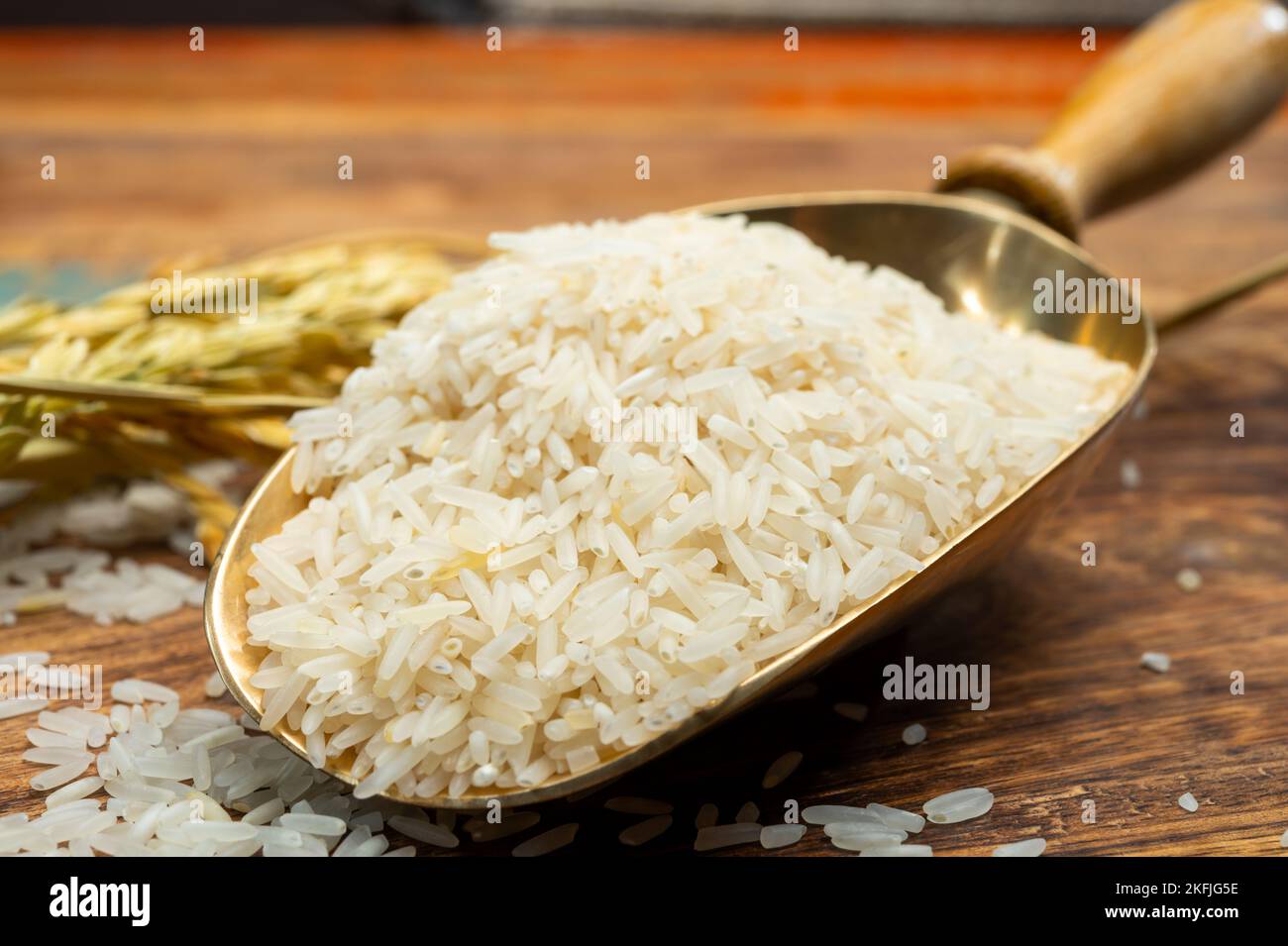 Organic white uncooked rice and dried Indian basmati rice plant ...
