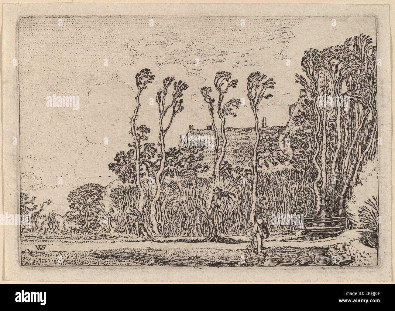 Golden sower hi-res stock photography and images - Alamy