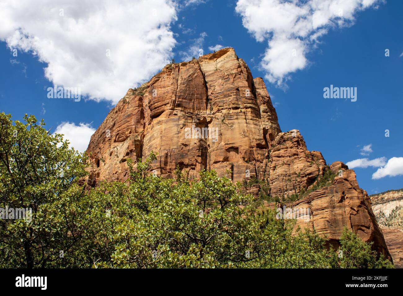A beautiful shot of Angels Landing cliff with greenery and blue cloudy ...