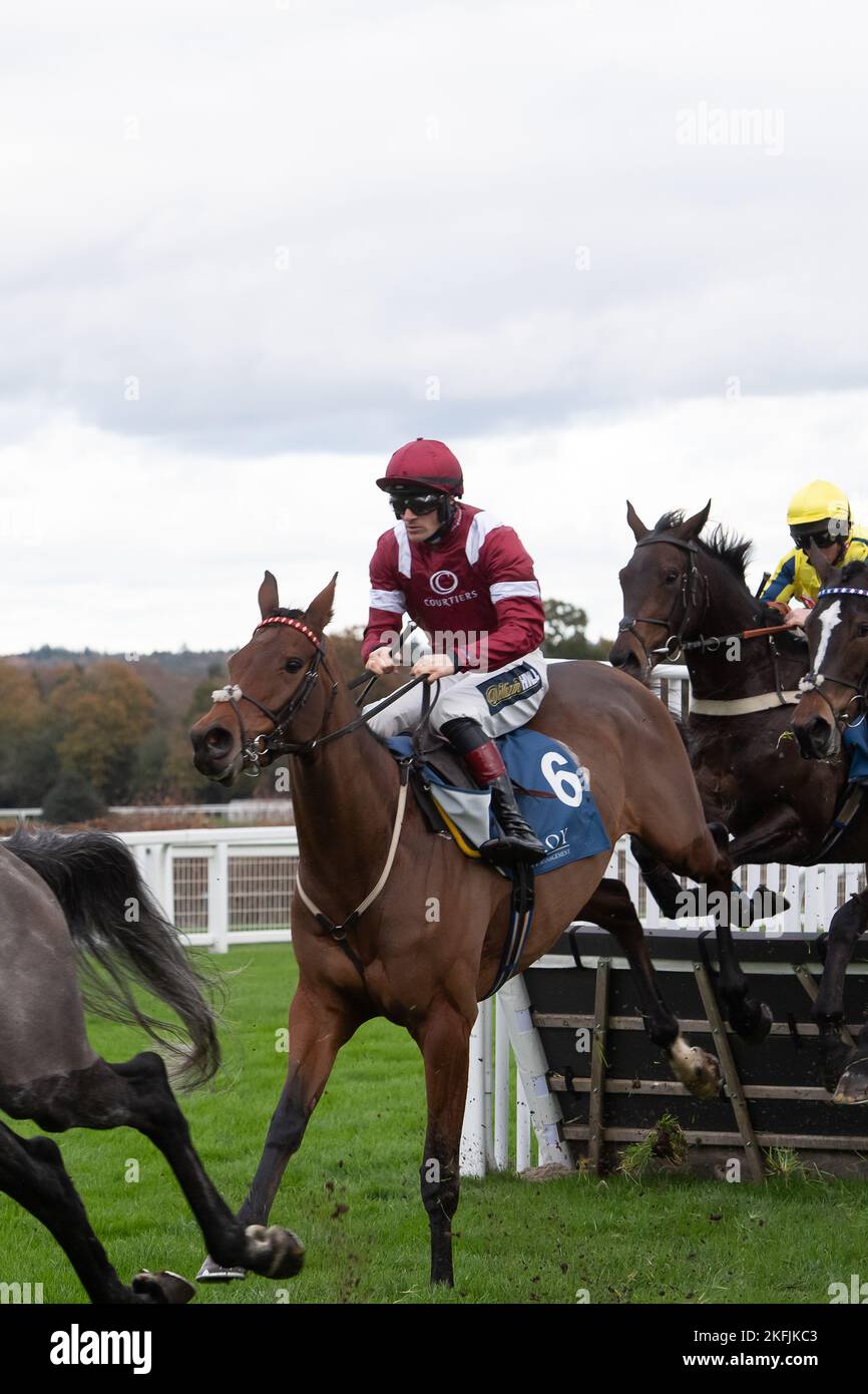 Master chewy horse hi-res stock photography and images - Alamy