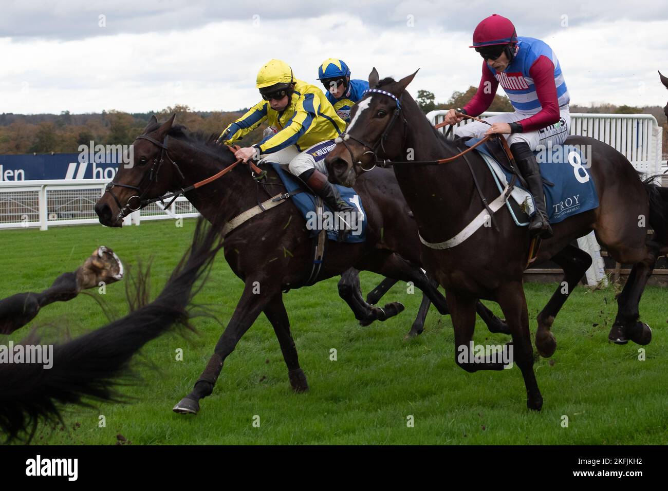 Ascot, Berkshire, UK. 18th November, 2022. Jockey A P Heskin riding ...
