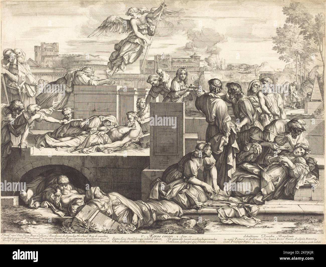 Curare hi-res stock photography and images - Alamy