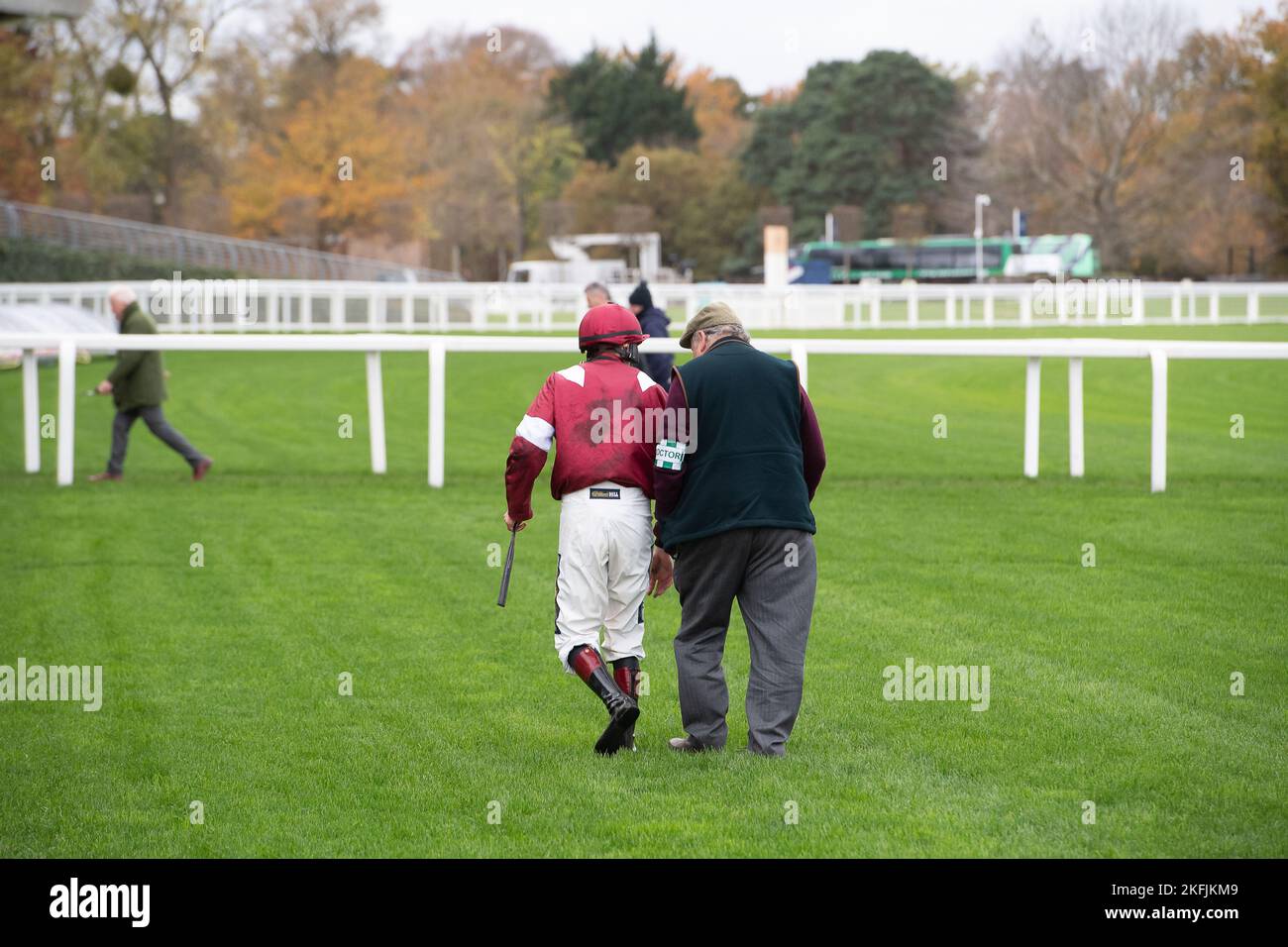 Master chewy horse hi-res stock photography and images - Alamy