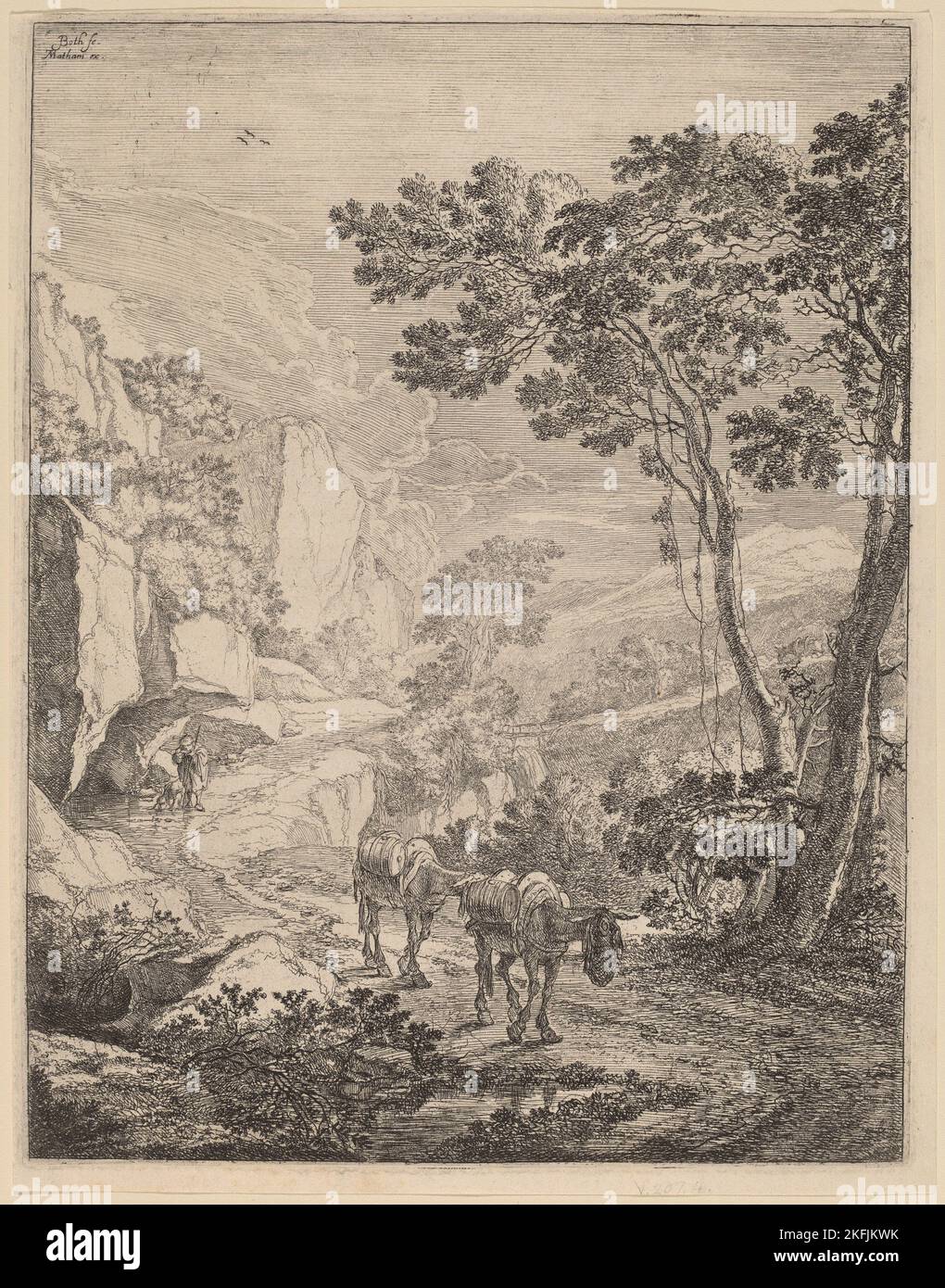 Hinnies hi-res stock photography and images - Alamy