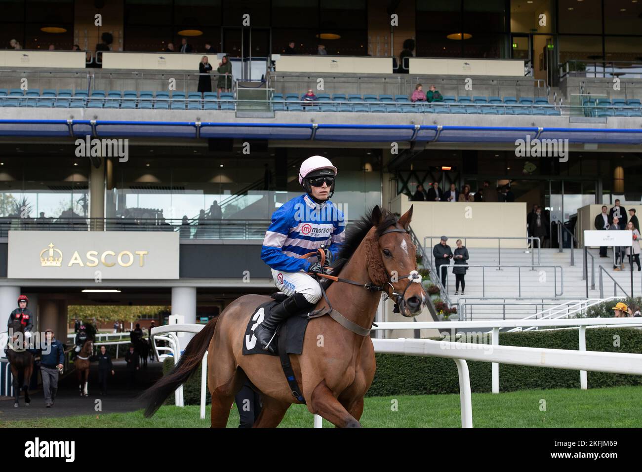 Harry cobden november 2022 hi-res stock photography and images - Alamy