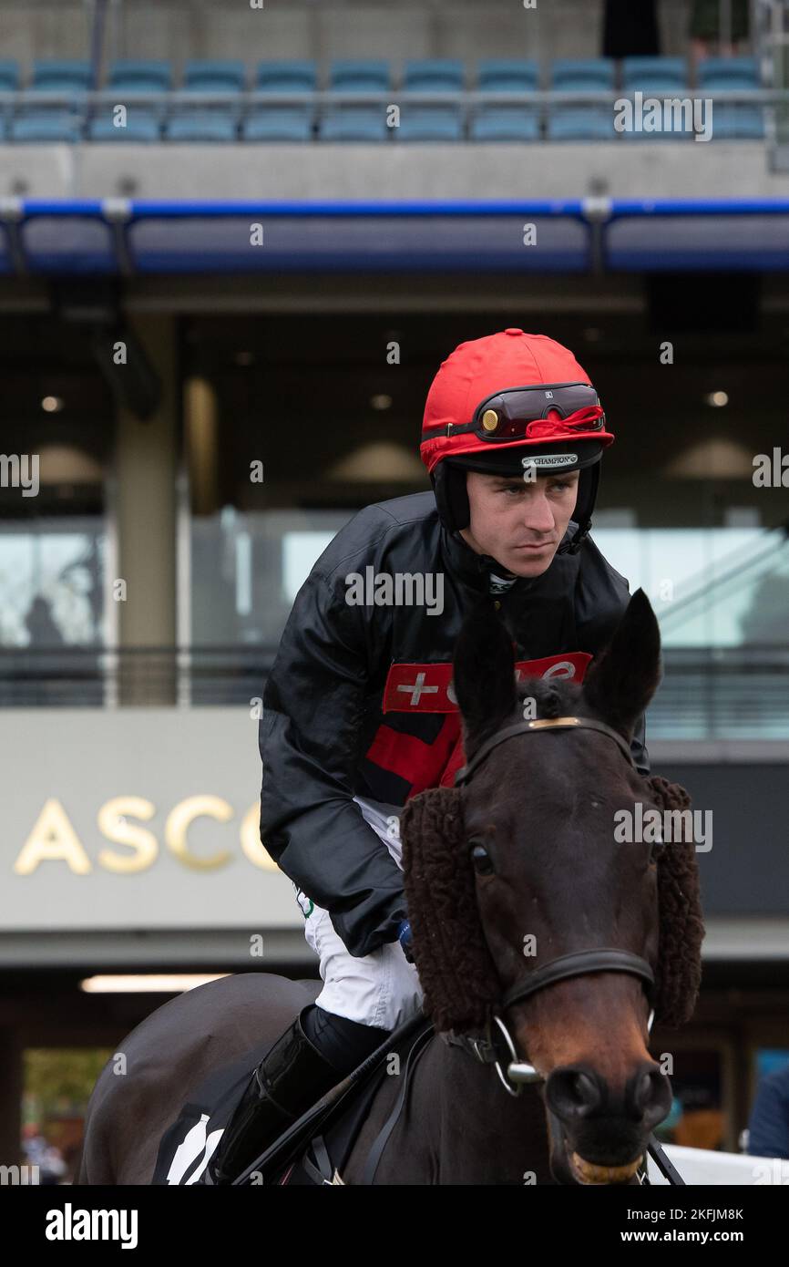 Foxboro racecourse hi-res stock photography and images - Alamy