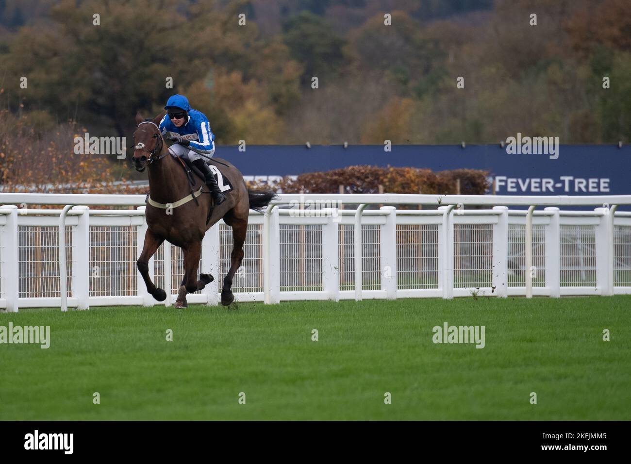 Ascot, Berkshire, UK. 18th November, 2022. Jockey Kielan Woods riding ...