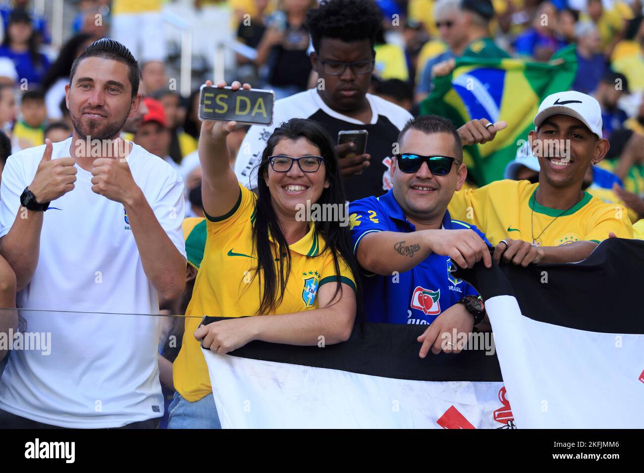 SAO PAULO, BRAZIL - NOVEMBER 15: Brazilian fans during the friendly ...