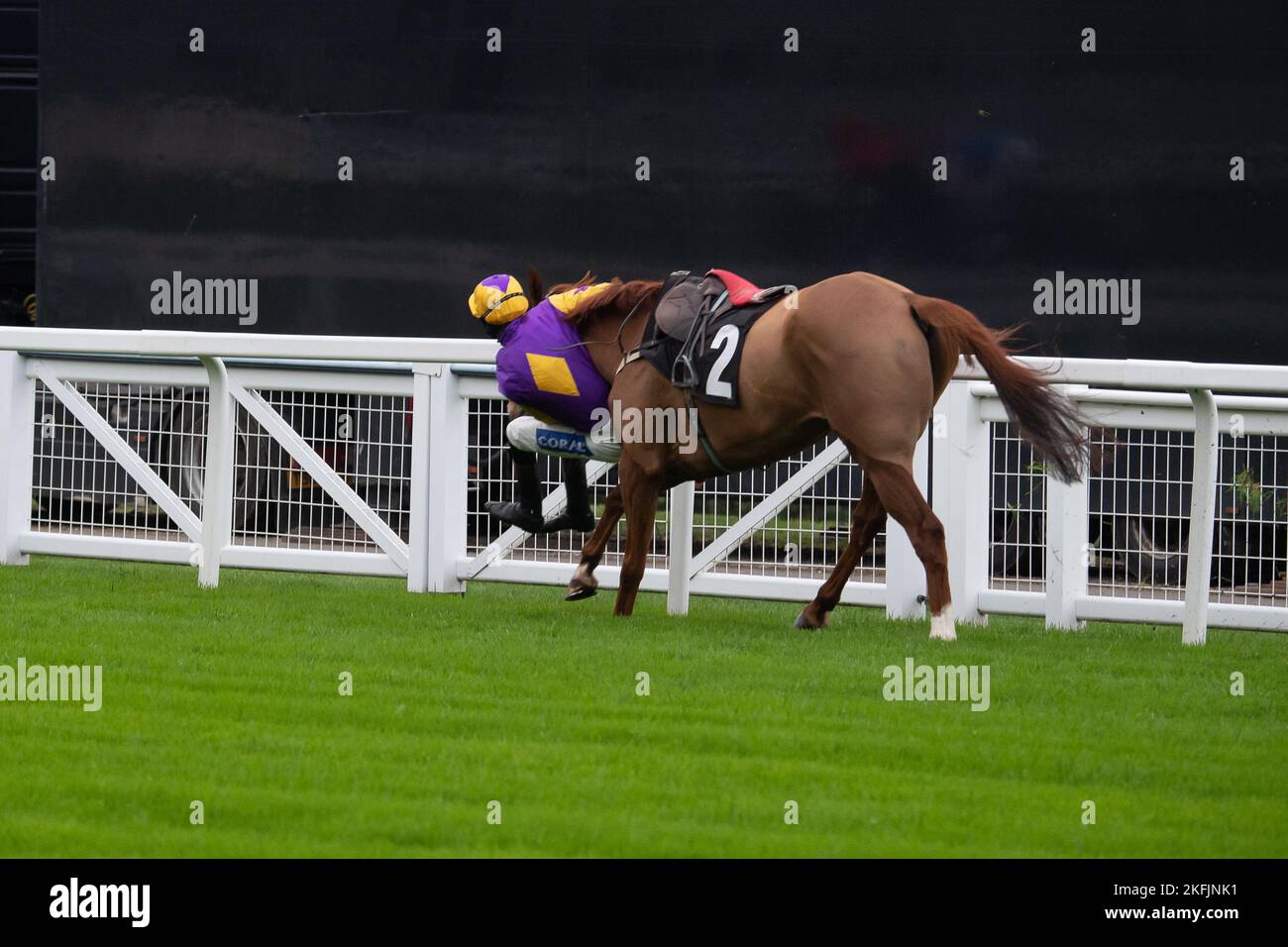 Ascot, Berkshire, UK. 18th November, 2022. Jockey Brendan Powell holds ...