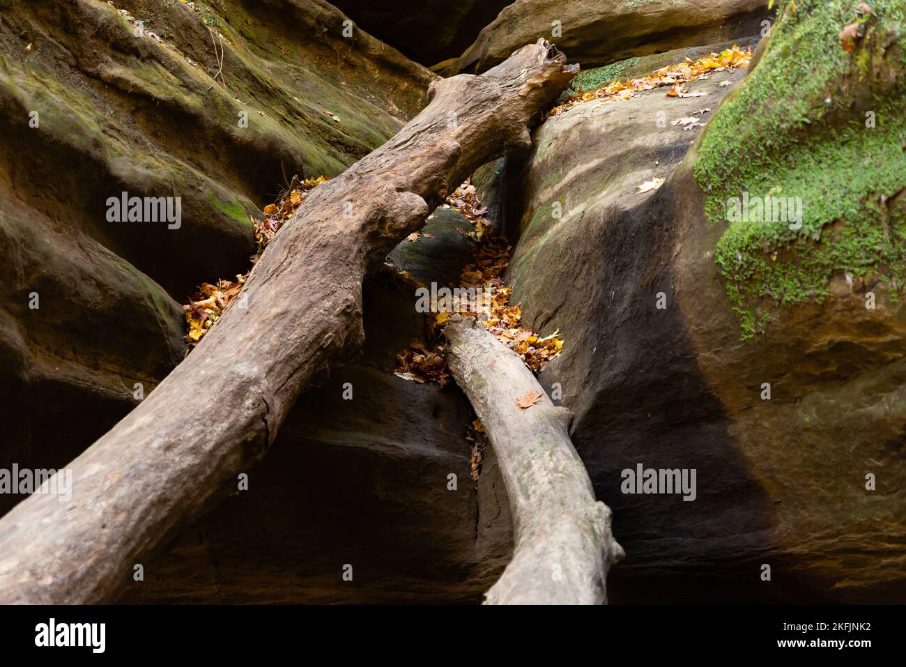 Kaskaskia state park hi-res stock photography and images - Alamy