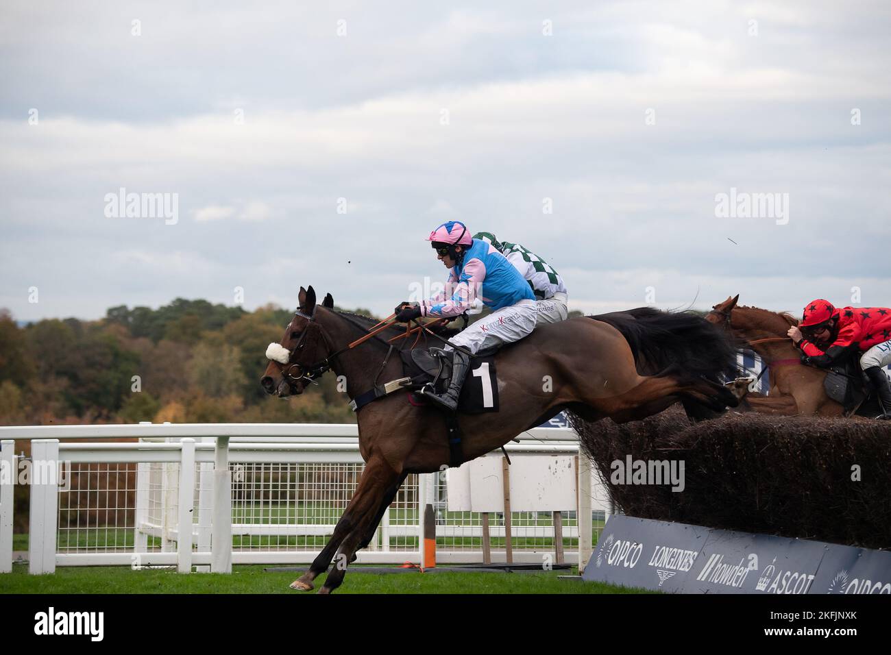 Bobhopeornohope hi-res stock photography and images - Alamy