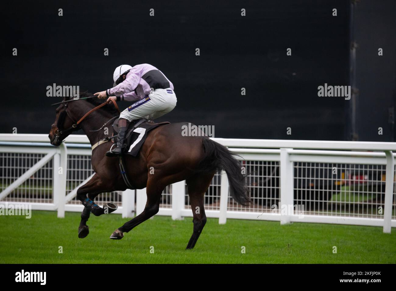 Owner galloping on the south downs p hi-res stock photography and ...