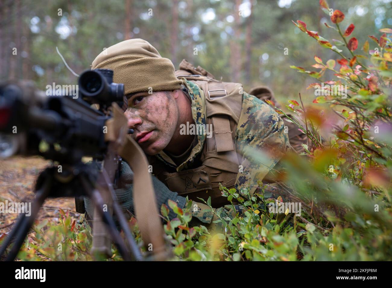 U.S. Marine Corps Pfc. Jovianni Lostal, automatic rifleman, with 1st ...