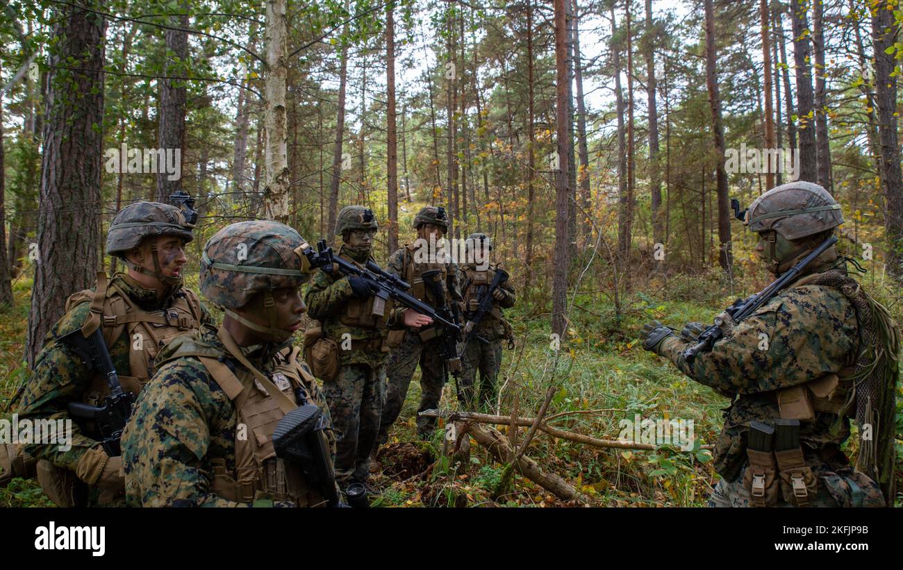 U.S. Marine Corps Cpl. Micheal Marino-Diaz, squad leader, with 1st ...