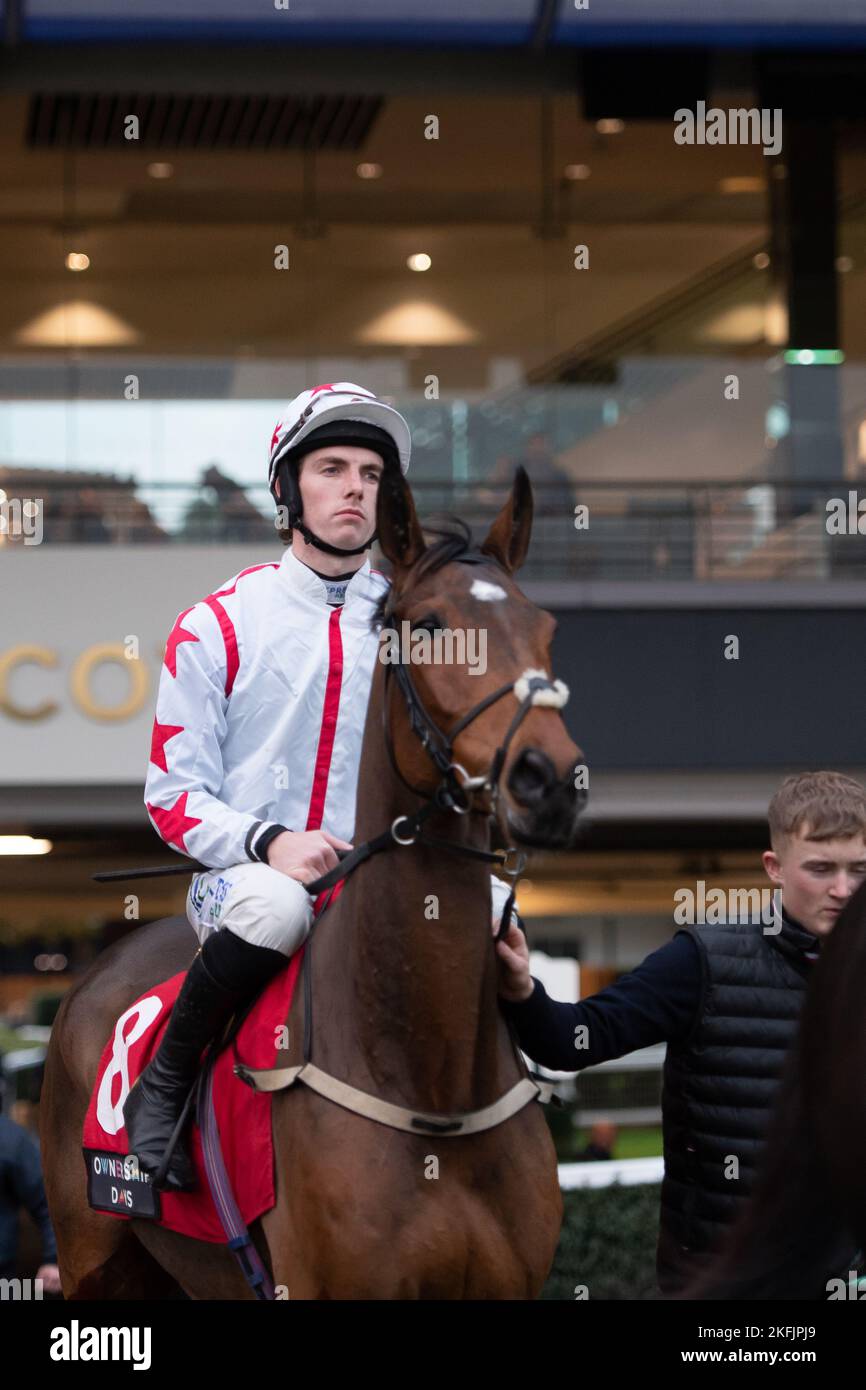 Four horsemen national hunt race hi-res stock photography and images - Alamy