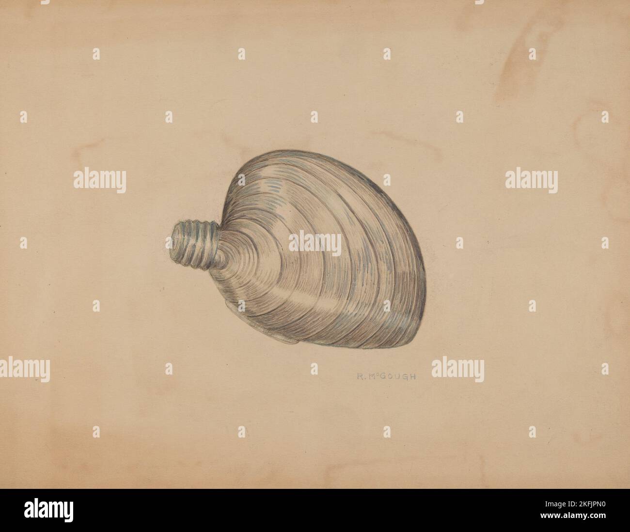 Shell Shaped Flask, c. 1940 Stock Photo - Alamy