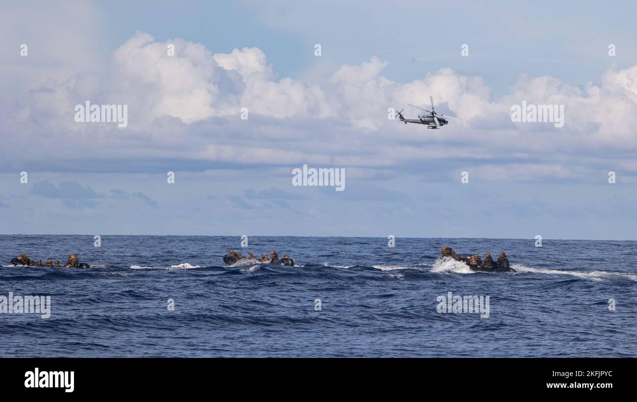 U.S. Marines with Battalion Landing Team 2/5, 31st Marine Expeditionary ...