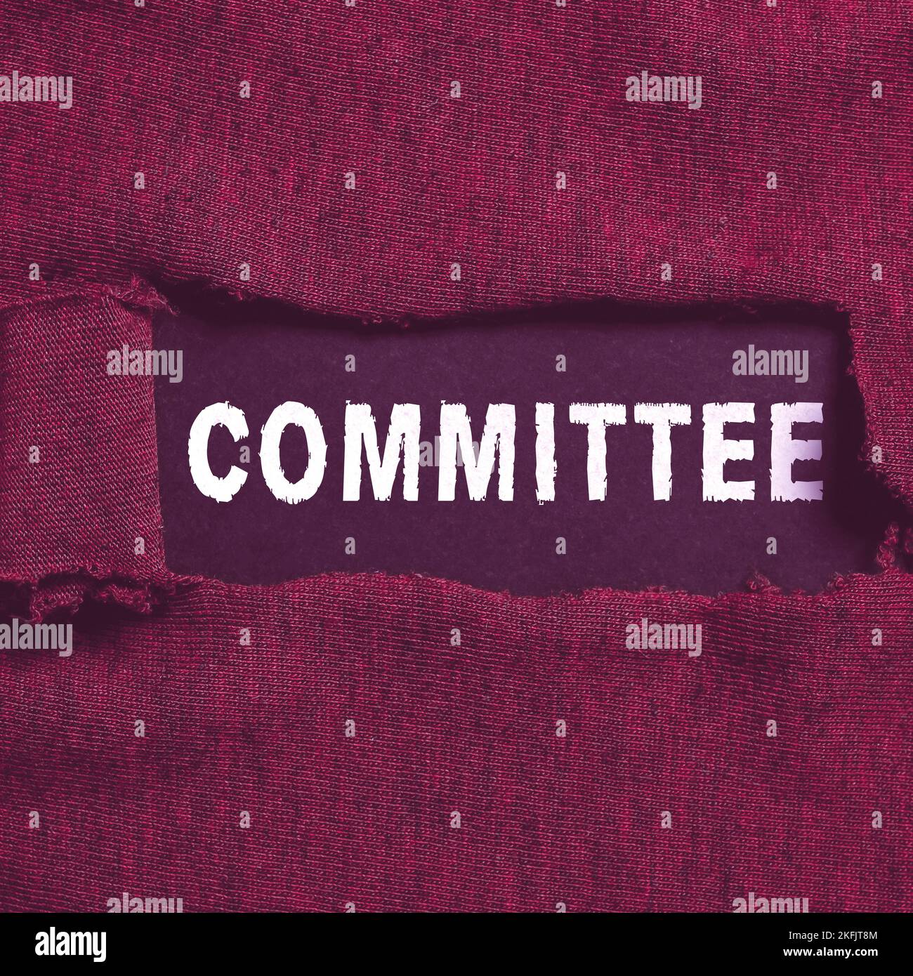 Text caption presenting Committee. Business showcase Group of people ...