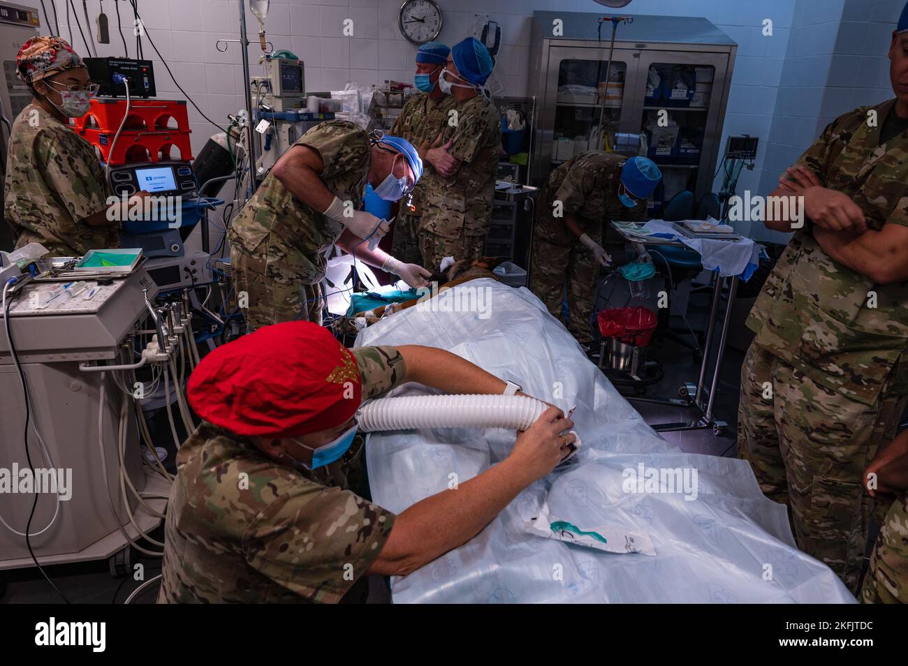 U.S. Air Force Military Working Dog, Bolt, has a temperature-controlled ...