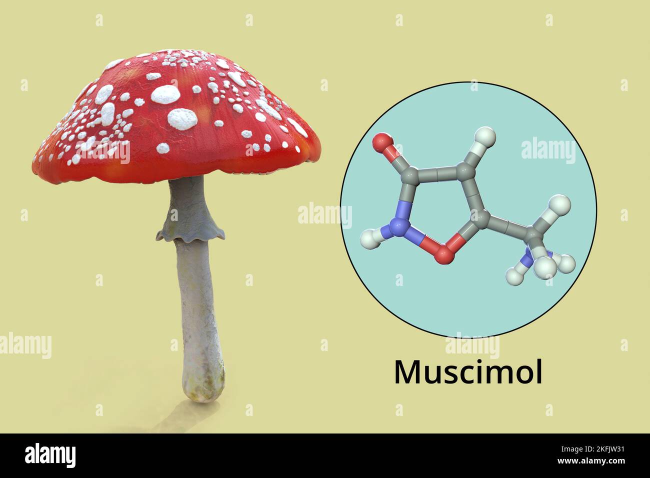 Atomic mushrooms hi-res stock photography and images - Alamy