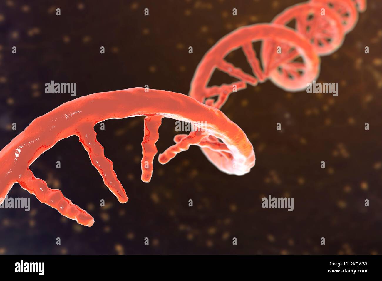 Mrna translation unit hi-res stock photography and images - Alamy